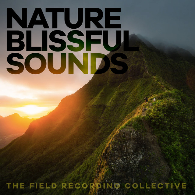 Nature Blissful Sounds - Album by The Field Recording Collective | Spotify