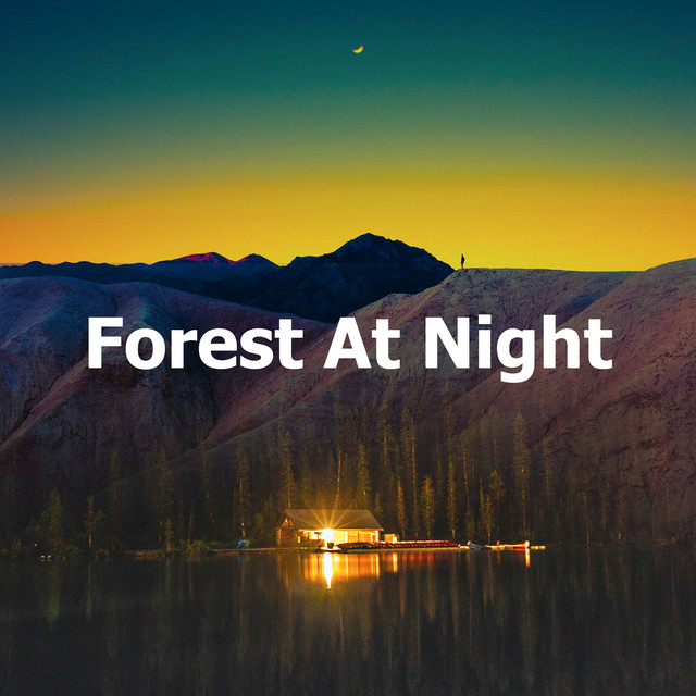 Forest At Night - Album by Night Sounds | Spotify