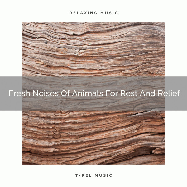 2021 New: Fresh Noises Of Animals For Rest And Relief - Album by White ...