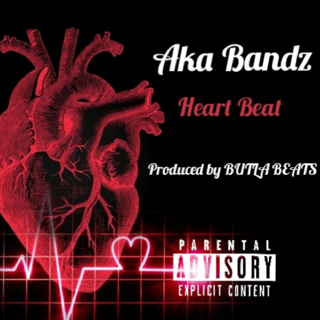 Heart Beat - Single by Aka Bandz | Spotify