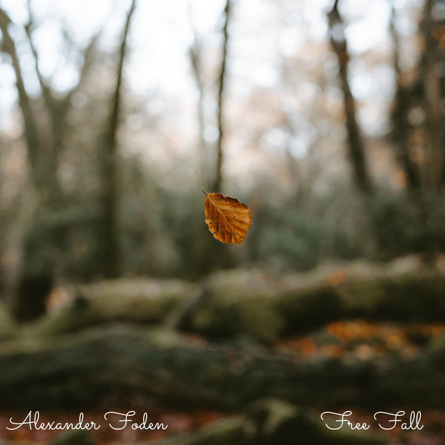 Free Fall - Album by Alexander Foden | Spotify