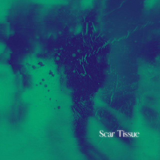 Scar Tissue - Single by Plutonimous | Spotify