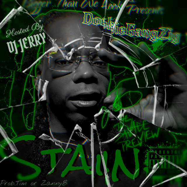 STAIN : The Savage Preview - Album by DookieGangZig | Spotify