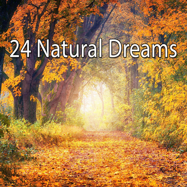 24 Natural Dreams - Album by Rest & Relax Nature Sounds Artists | Spotify
