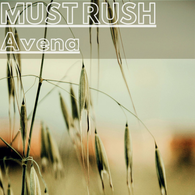 Avena - Single by Must Rush | Spotify