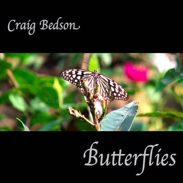 Butterflies - song and lyrics by Craig Bedson | Spotify