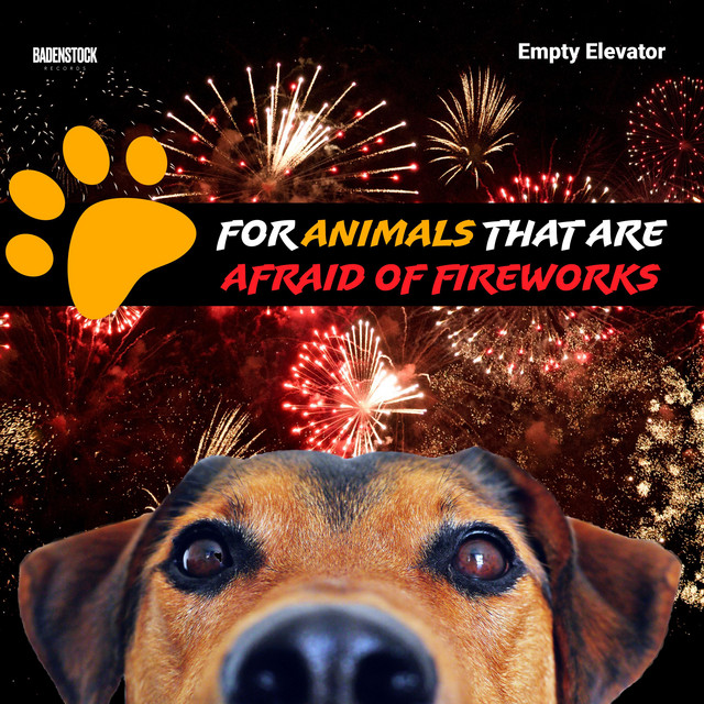 For Animals That Are Afraid Of Fireworks - Album by Empty Elevator ...
