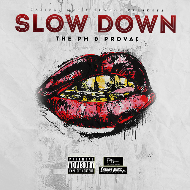Slow Down - Single by The PM | Spotify