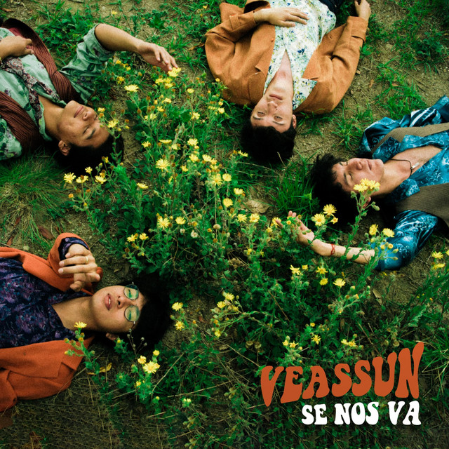 Se Nos Va - Single by Veassun | Spotify