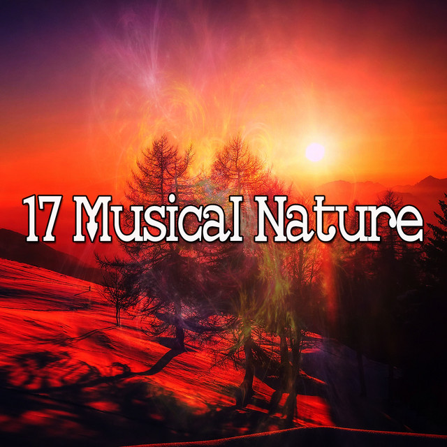 17 Musical Nature - Album by Ambient Forest | Spotify