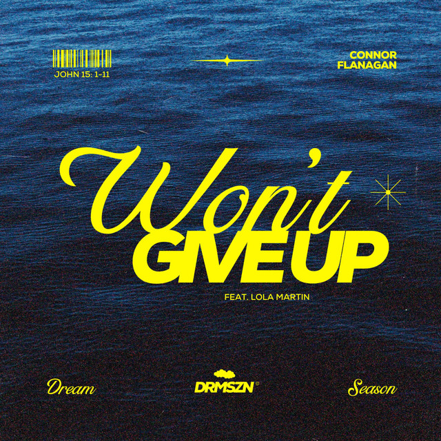 Won't Give Up - Single by Connor Flanagan | Spotify