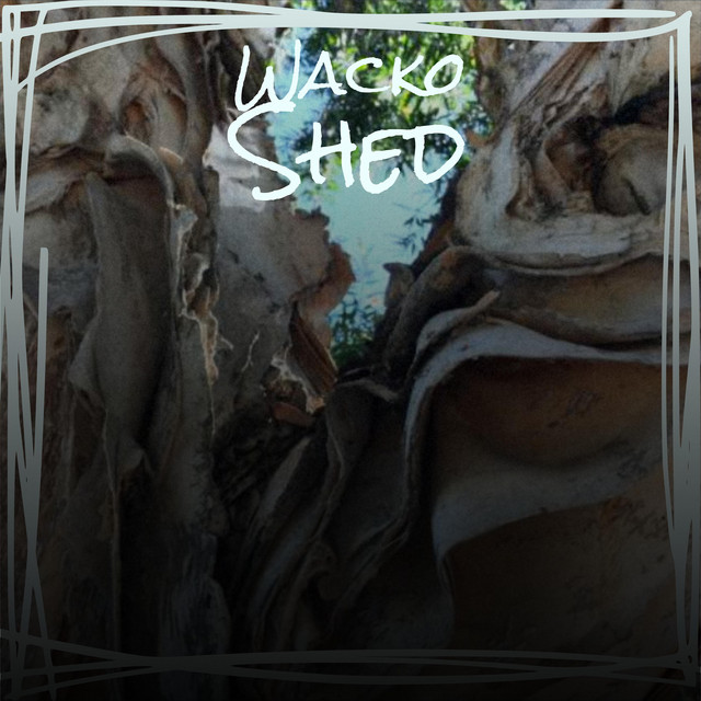 Wacko Shed - Compilation by Various Artists | Spotify