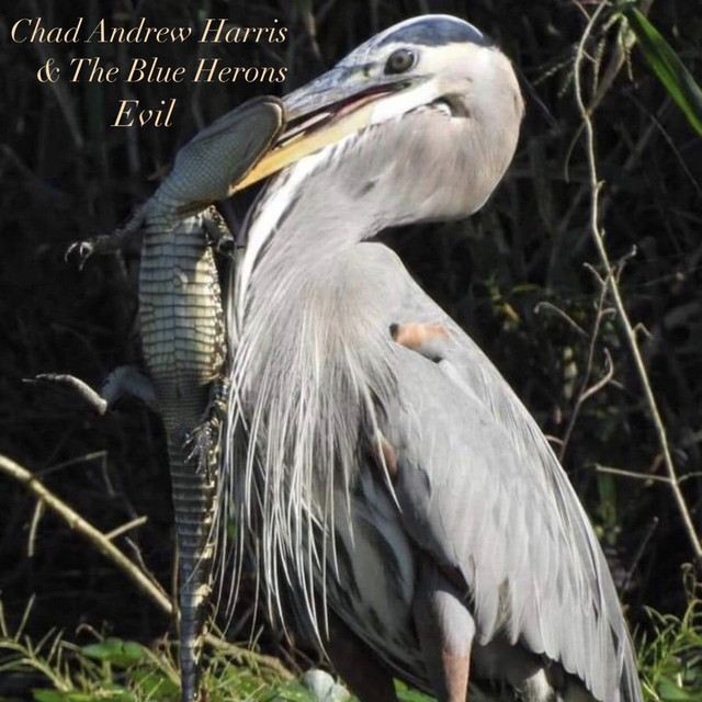 Chad Andrew Harris & The Blue Herons | Spotify