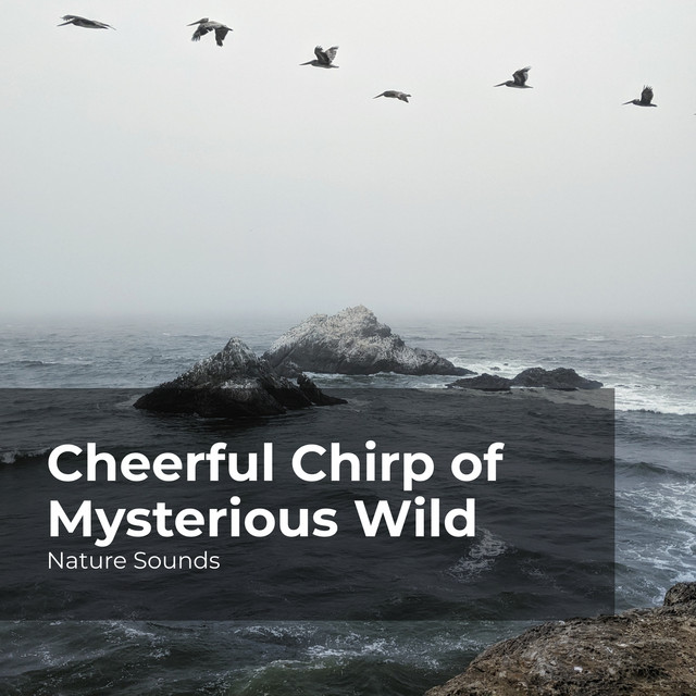 Cheerful Chirp of Mysterious Wild - Album by Nature Sounds | Spotify
