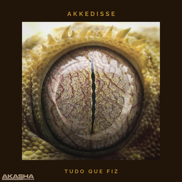 Tudo que fiz - Single by Akkedisse | Spotify
