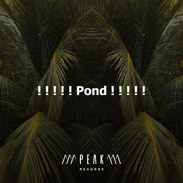 Pond ! ! ! ! ! - Album by Sleep Sounds of Nature | Spotify
