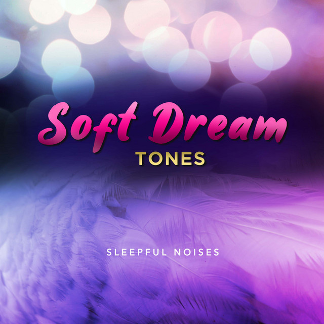 Record Sunshine - song and lyrics by Sleepful Noises | Spotify