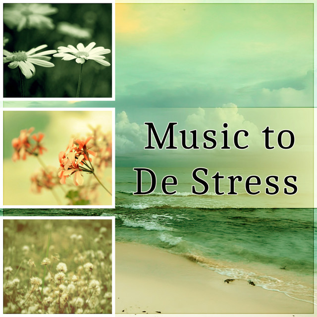 Music to De Stress - New Age for Study, Improve Concentration and Brain ...