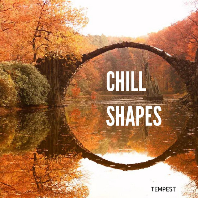 Chill Shapes - Single by Tempest | Spotify
