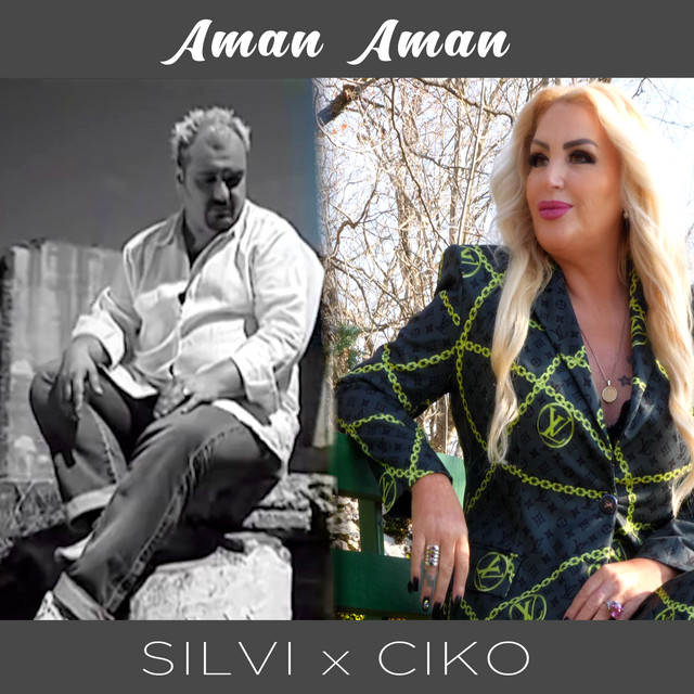 Silvi | Spotify