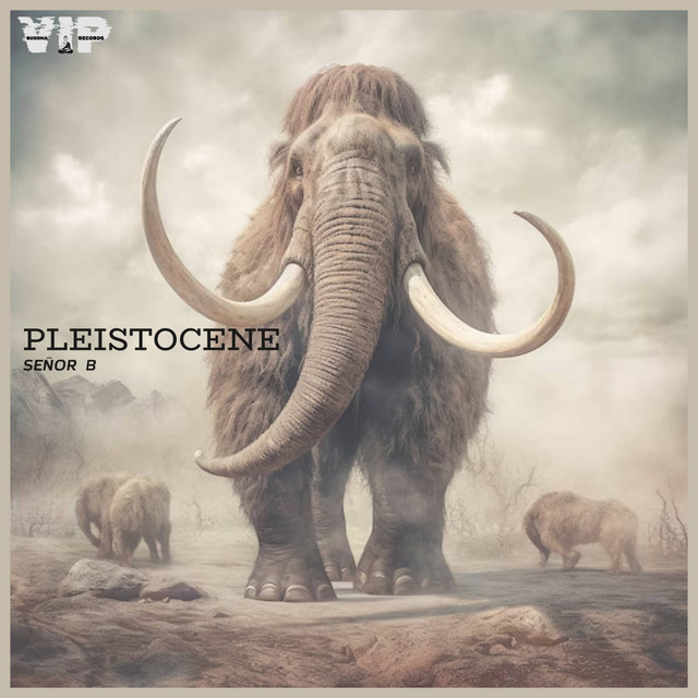 Pleistocene - Single by Señor B | Spotify