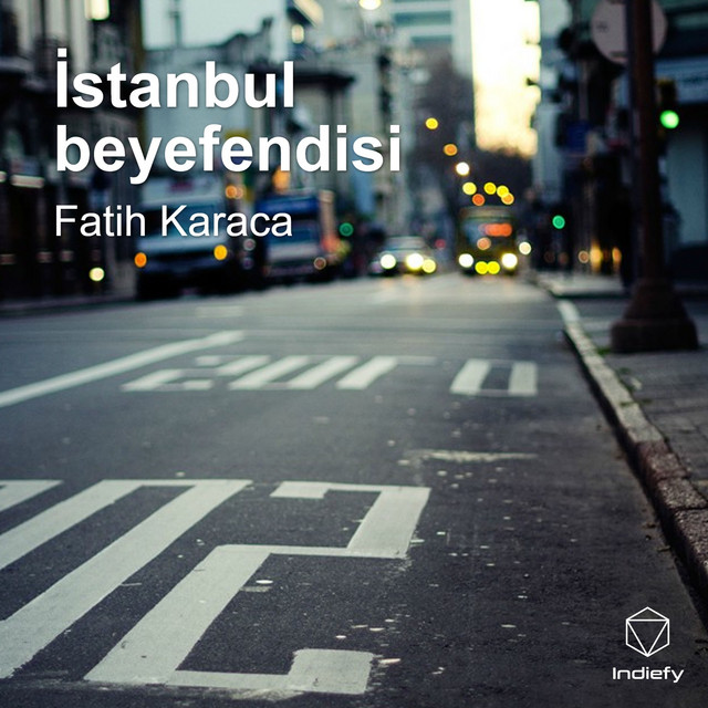 İstanbul beyefendisi (Cover) - Single by Fatih Karaca | Spotify