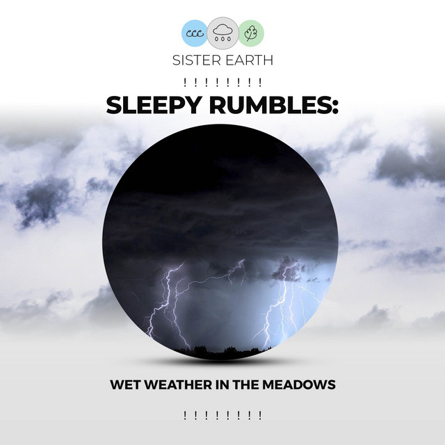 Sleepy Rumbles: Wet Weather in the Meadows ! ! ! ! ! ! ! ! - Album by Thun