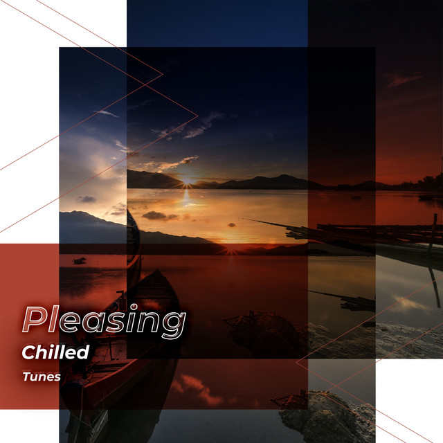 Pleasing Chilled Tunes - Album by Ibiza Chillout Unlimited | Spotify