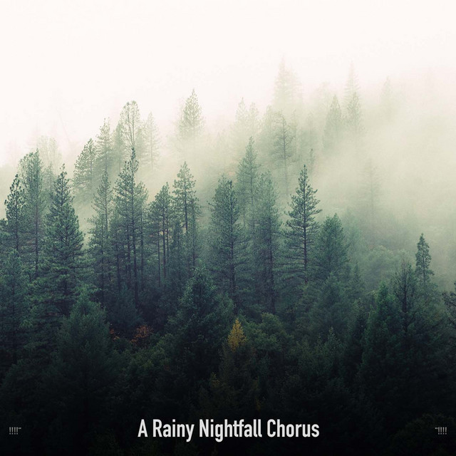 A Rainy Nightfall Chorus "!!!! - Album by Meditation Rain Sounds | Spotify