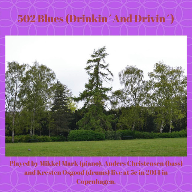 502 Blues (Drinkin´And Drivin´) [Live] - Single by Mikkel Mark | Spotify