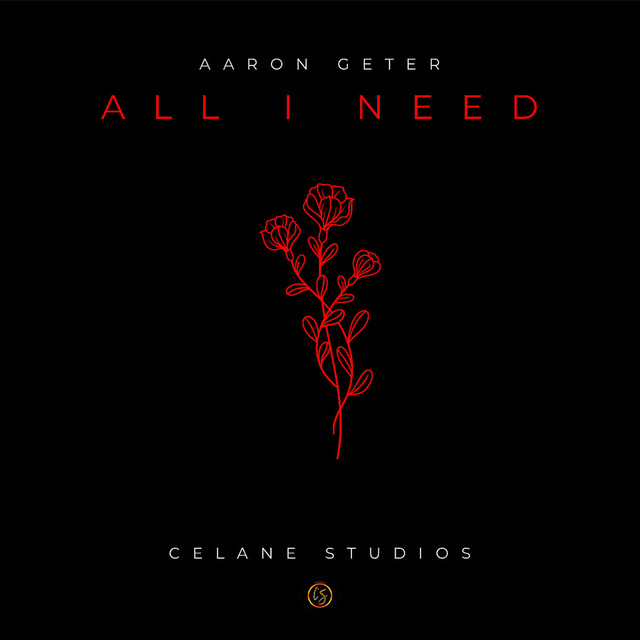 All I Need - Single by Aaron Geter | Spotify