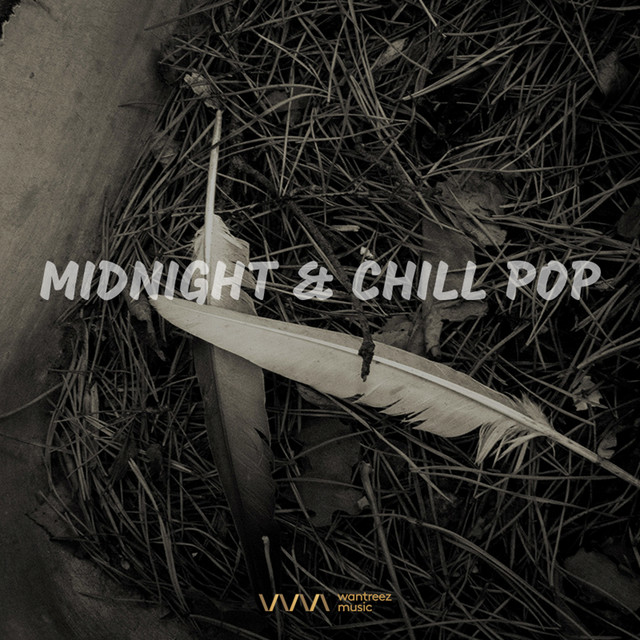 Midnight & Chill Pop - Compilation by Various Artists | Spotify