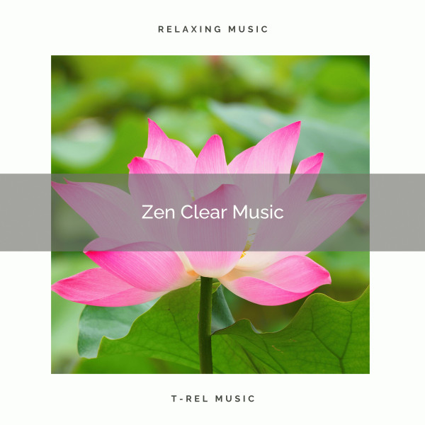 Zen Clear Music - Album by Zen Master | Spotify