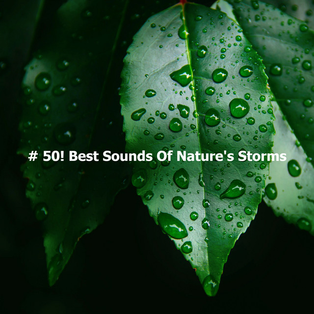# 50! Best Sounds Of Nature's Storms - Album by Sounds Of Nature ...