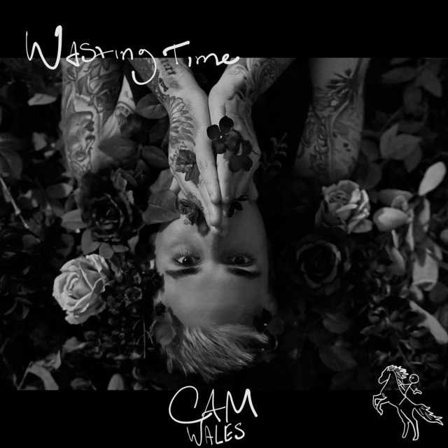 Wasting Time - song and lyrics by Cam Wales | Spotify