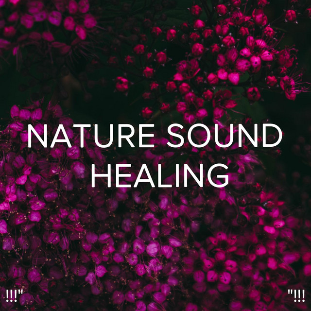 Nature Sound Healing "!!! - Album by Nature Sounds Nature Music | Spotify