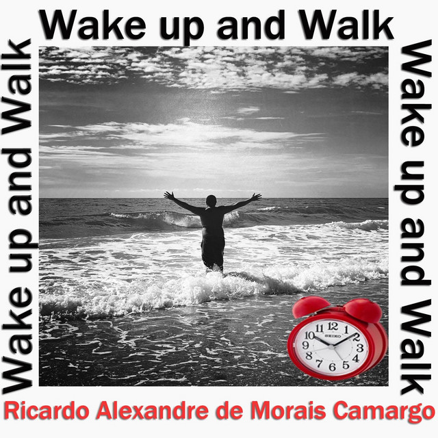 Wake up and Walk - Single by Ricardo Alexandre De Morais Camargo | Spotify