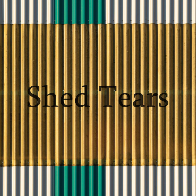 Shed Tears - Album by Jeremy Veatch | Spotify