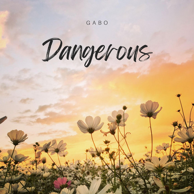 Dangerous - Single by Gabo | Spotify