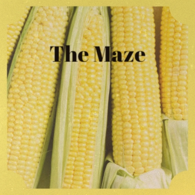 The Maze - Compilation by Various Artists | Spotify