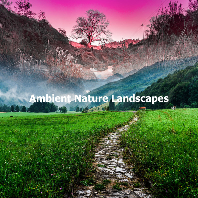 Ambient Nature Landscapes ! ! ! - Album by Nature Soundscapes | Spotify