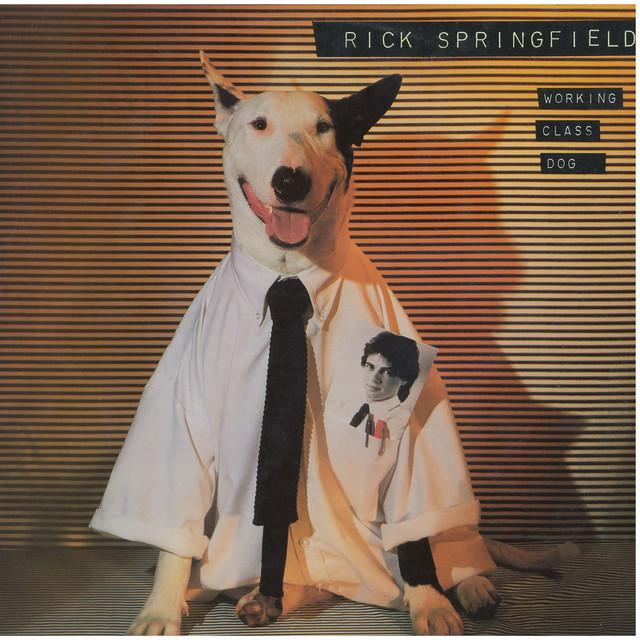 Working Class Dog - Album by Rick Springfield | Spotify