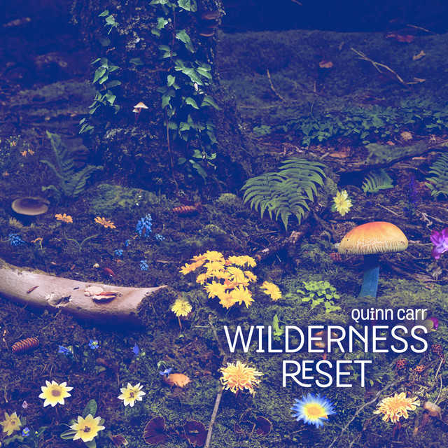 Wilderness Reset - Album by Quinn Carr | Spotify
