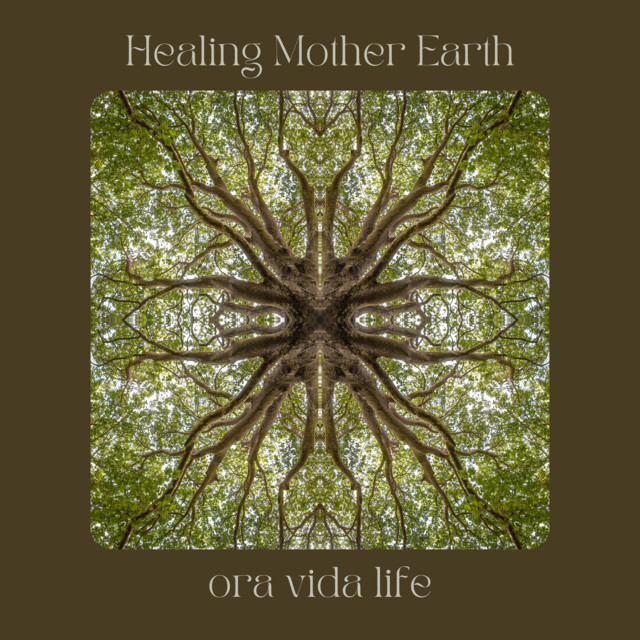 Healing Mother Earth - Single by Ora.Vida.Life | Spotify