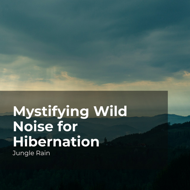 Mystifying Wild Noise for Hibernation - Album by Jungle Rain | Spotify