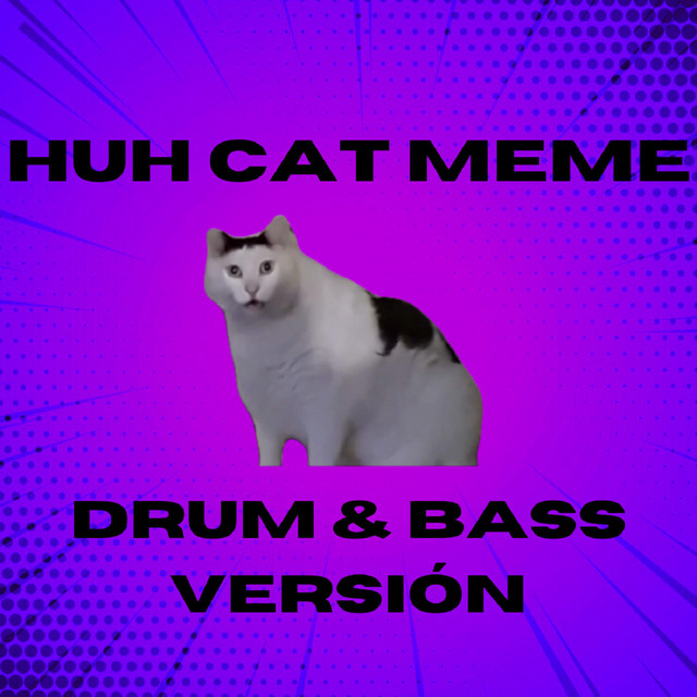 huh Cat meme - DRUM & BASS versión - song and lyrics by Ramnloop | Spotify