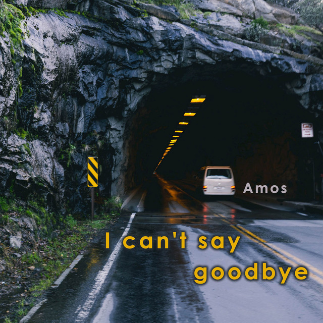 I can't say goodbye - Single by Amos | Spotify