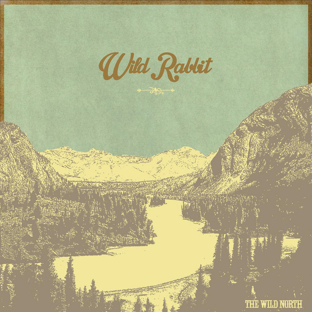 Distant Lands - song and lyrics by Wild Rabbit | Spotify