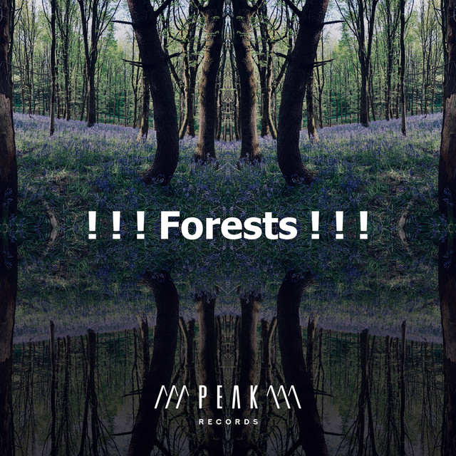 Forests ! ! ! - Album by Nature Sounds XLE Library | Spotify