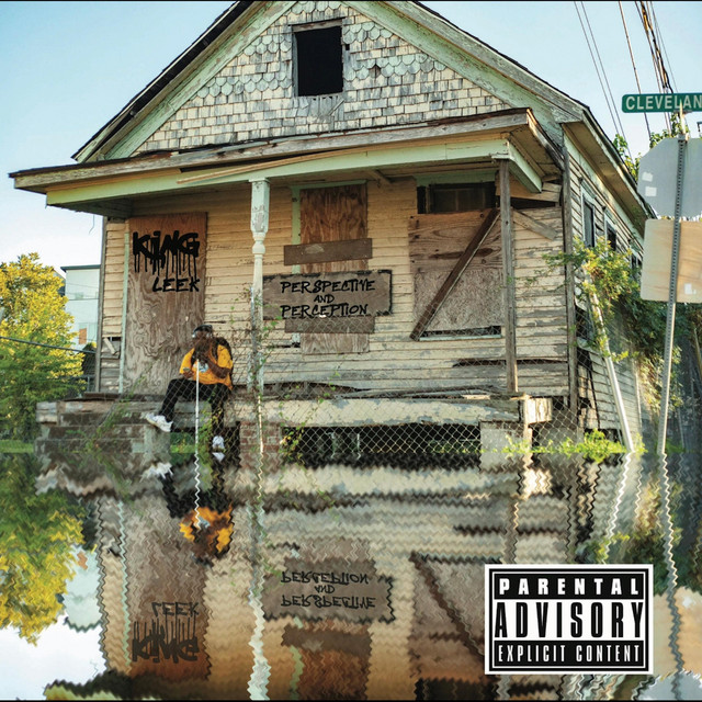 Perspective and Perception - Album by King Leek | Spotify